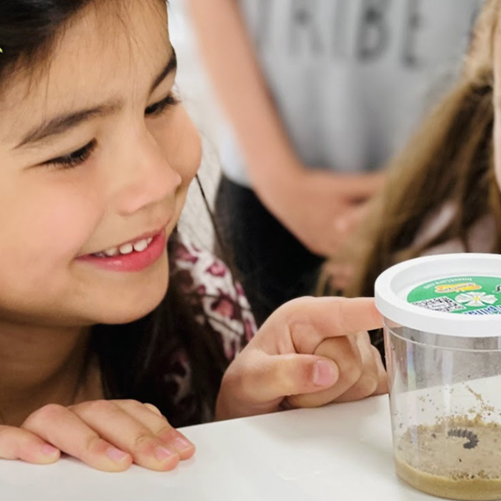 Little Genius Academy - The Best Child Care in Walnut Creek